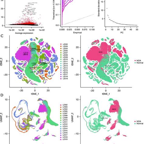 Landscape Of The Single Cell Transcriptome In Gse149512 A Top 2 000