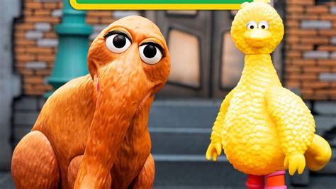 Big Bird And Snuffleupagus November 18 1985 Everyone On Sesame