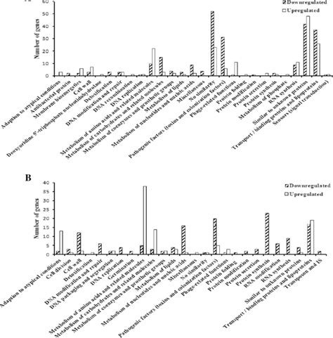 Functional Classification A Differentially Expressed Genes From S