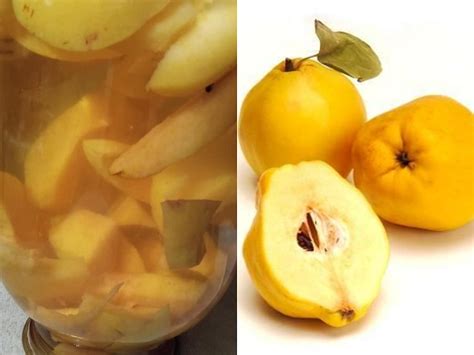 კომშის კომპოტი სტერილიზაციის გარეშე Gemrielia Ge