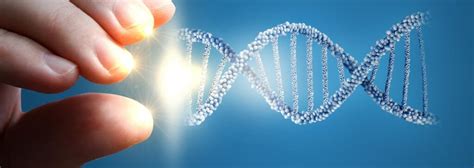 The Power Of Dna Testing Explained Uncovering Insights Into Nutrition