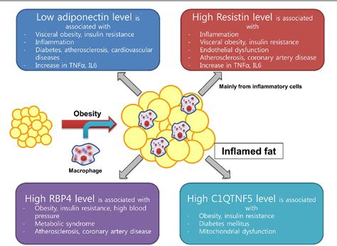 Figure 1 From Clinical Implications Of Adipocytokines And Newly