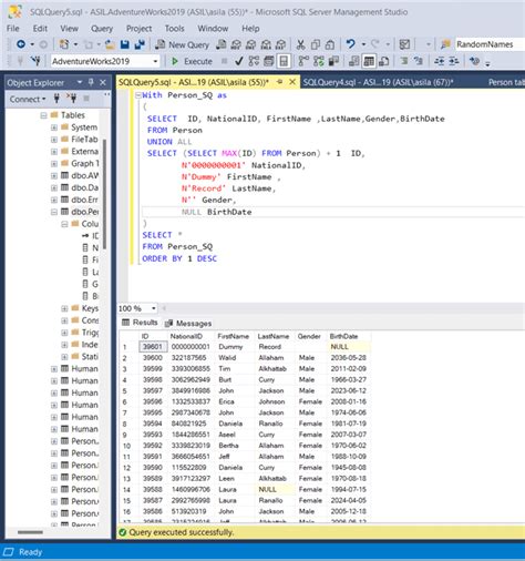 Unit Testing And Generate Test Data Sets For Sql Server Database Apps