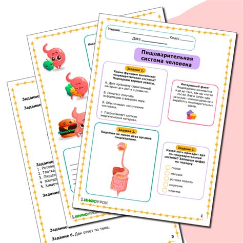 Рабочий лист на тему «Пищеварительная система человека