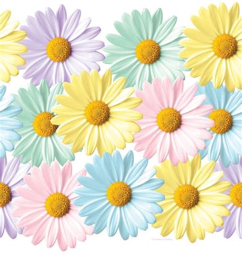 212 Best ⭐️gerber Daisies⭐️ Images On Pinterest Beautiful Flowers