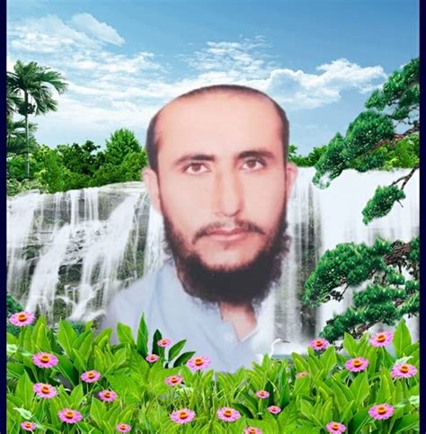 محمد سعید سعادت