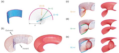 Controlling The Shape Of An Elastica Ruled Surface Curved Rulings Are Download Scientific