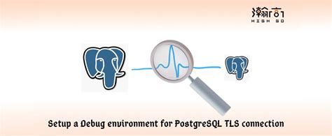 setting up a debugging environment in postgresql to better understand