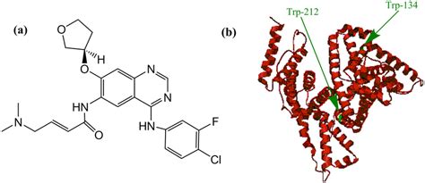 Chemical Structure Of Afb A And Ribbon Representation Of Bsa B