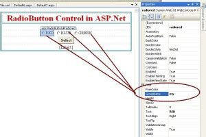 Use RadioButton Control In ASP Net C