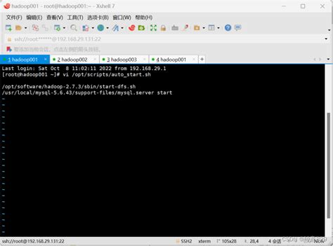 hadoop和mysql开机自启动配置 虚拟机设置hadoop开机启动 csdn博客