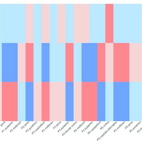 Heat Map Visualizing The Abundances Of Eukaryotic Bacterial And Viral Download Scientific