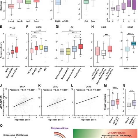 Resptress Score Identifies Distinct Molecular Subtypes Among Various
