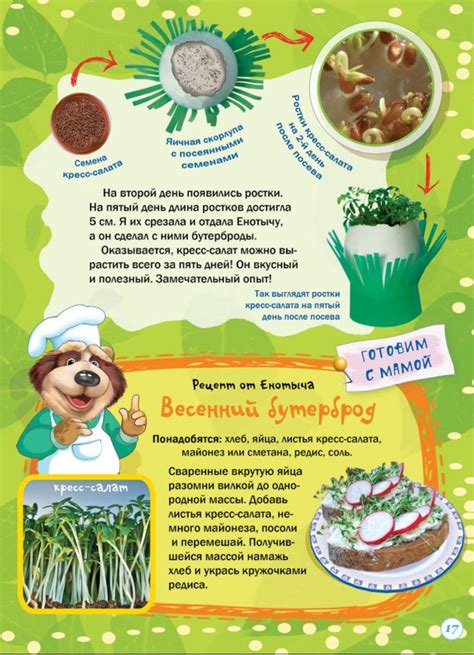 Кресс-салат. - «Шишкин Лес»