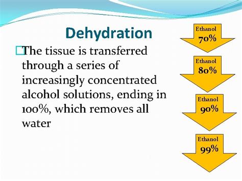 Interpretation Of Histological Sections Lecturer Farah E Ismaeel