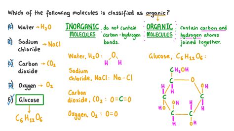 Question Video Identifying An Organic Molecule Nagwa