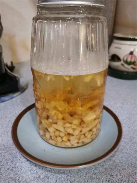 Ginger Bug Attempt Rfermentation Ginger Bug Attempt Rfermentation