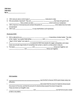 DNA Notes Fill In The Blank Babe Template By Jen S Brainstorms