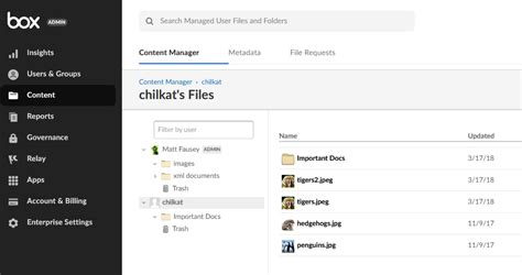 Service Accounts User Representation Of Your App Chilkat Tech Notes