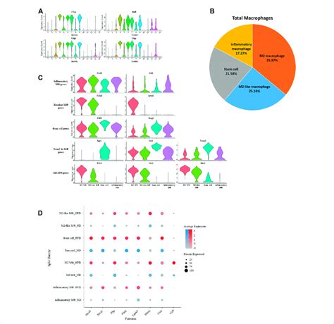 Gene Expression Signature Of Macrophage And Its Variation Under Western Download Scientific