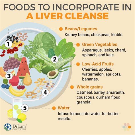 Liver Cleansing Foods For Detoxification