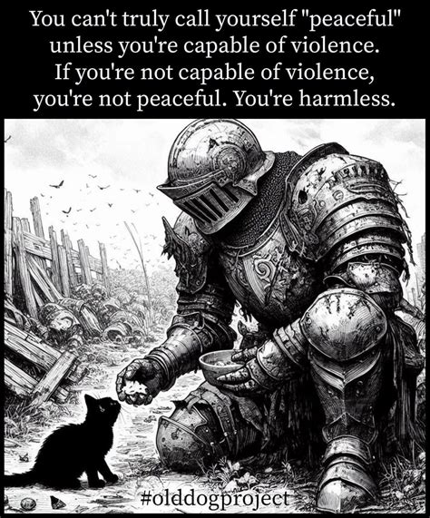 A True Crusader R Mxrmods