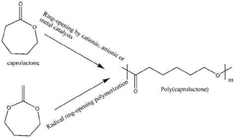 Synthesis Of Pcl By Radical Ring Opening Polymerization See Agarwal Download Scientific