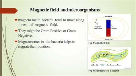 Oscillating Magnetic Field Pptx Chemistry Science