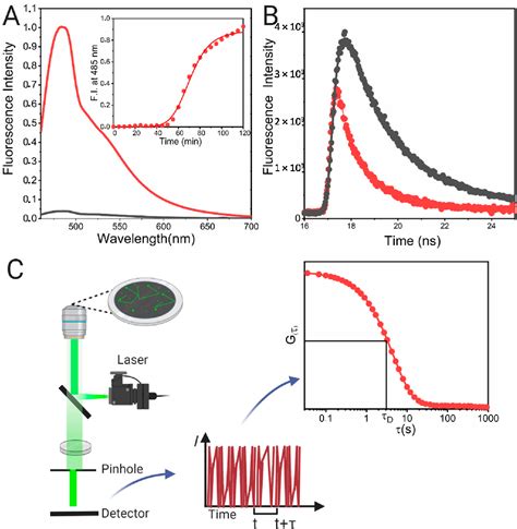 Figure 7 From Evaluation Of Peptideprotein Self Assembly And Aggregation By Spectroscopic