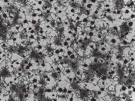 Microstructure After The Austempering From The Partial Austenitization Download Scientific