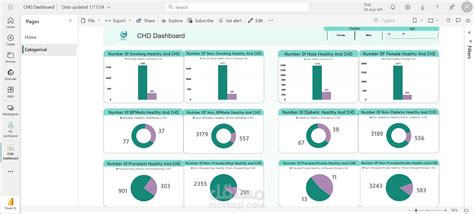 Shefaa Dashboard Using Powerbigraduation Project مستقل