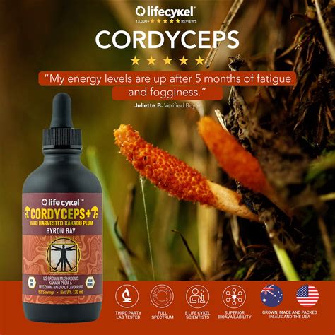 Cordyceps Mushroom Extract — Life Cykel