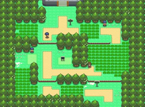 Sinnoh Route 202 Bulbapedia The Community Driven Pokémon Encyclopedia