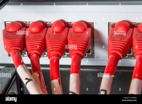 Close Up Of Network Hub And Ethernet Cables Stock Photo Alamy