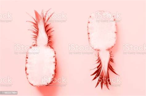 트렌디 한 산호 색상 배경에 슬라이스 파인애플의 절반 상단 보기입니다 최소한의 스타일을위한 밝은 패턴 정사각형 자르기 팝 아트 디자인 창조적 인 개념 2019년에 대한 스톡