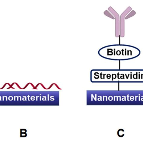 Schematic Of Nanomaterial Based Sensor And Biosensor Construction Download Scientific Diagram