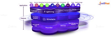 The Salesforce Database Explained Intellipaat