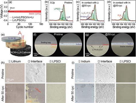 A Voltage Profiles Of Symmetric Cells Containing Liin And Li Metals Download Scientific