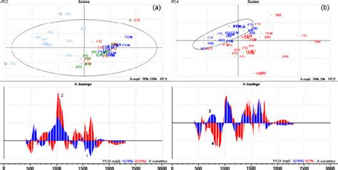 Clustering Schemes With Pca Scores And Corresponding Loadings Plots