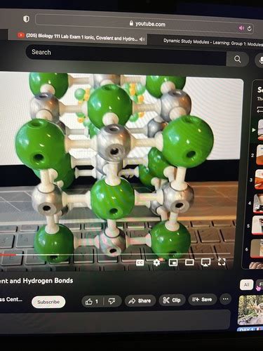 Soc Final Flashcards Quizlet