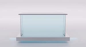 How To Treat Prevent Ball Python Scale Rot