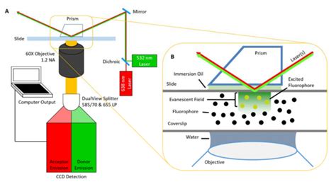 Single Molecule Fret Erie Lab