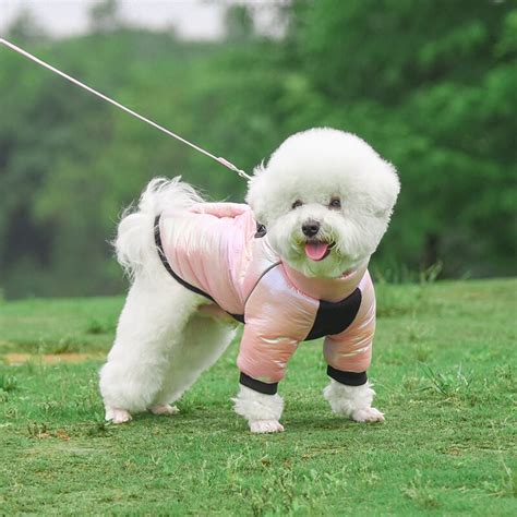 Badu Bg Зимни меки поларени дрехи за домашни кучета Дрехи за кученца Палто от френски булдог