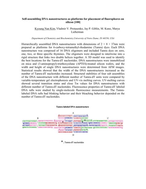 Self Assembling Dna Nanostructures As