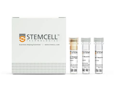 Easysep™ Mouse B Cell Isolation Kit Stemcell Technologies