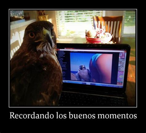 Facebook Moda ¡ La Moda Más Divertida