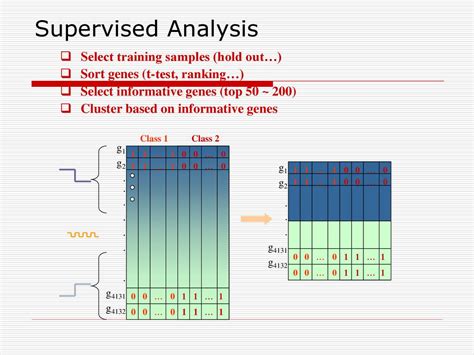 microarray data set the microarray data set we are dealing with is