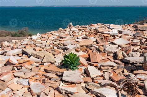 Pottery Shards From Excavations Of An Ancient City Archaeological Site Stock Photo At