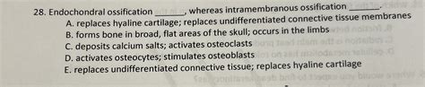 Solved Endochondral Ossification Q ﻿whereas Intramembranous
