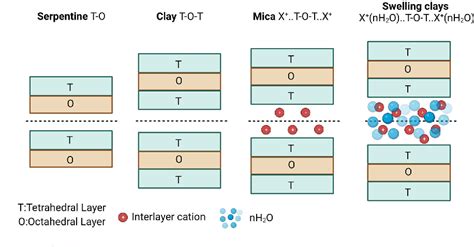 Figure 1 From Effect Of Clay Zwitterionic Interactions In Controlling The Viscoelastic